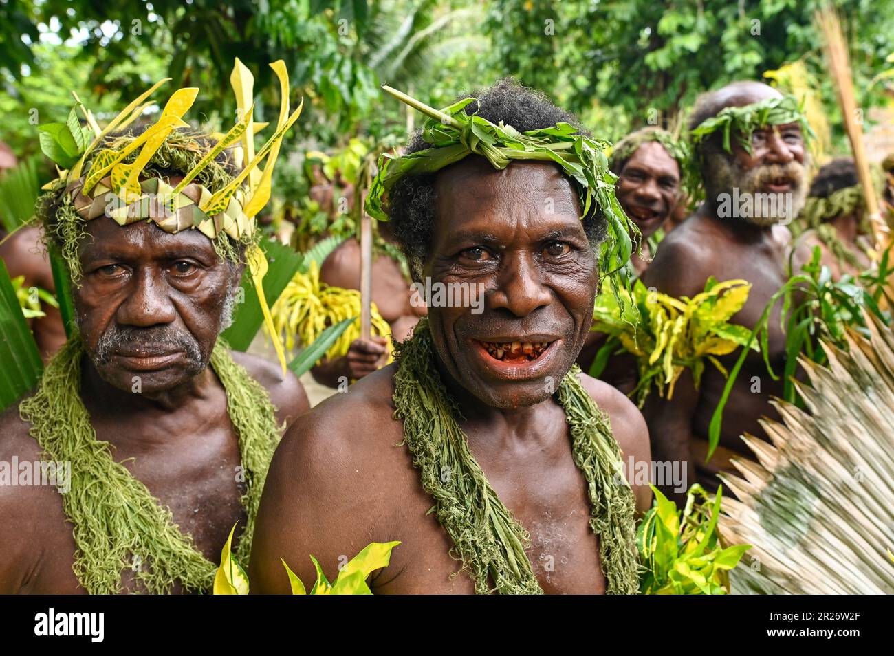 The tradicional indigenous dances of the solomon islands hi-res stock ...