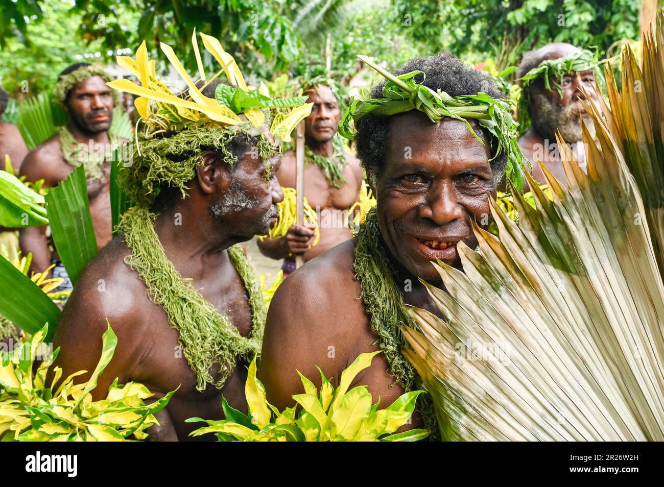 The traditional dances of the indigenous people on Utupua Island in the ...