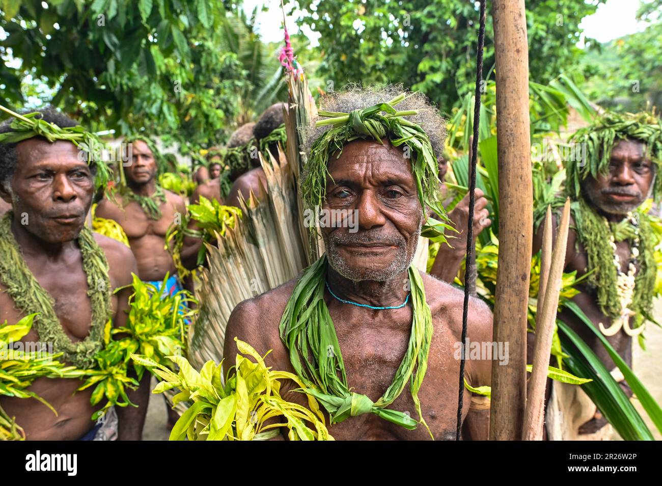 The traditional dances of the indigenous people on Utupua Island in the ...