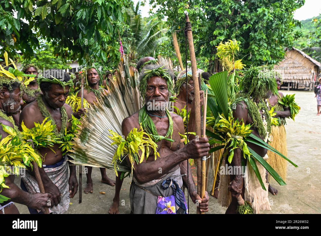 The traditional dances of the indigenous people on Utupua Island in the ...