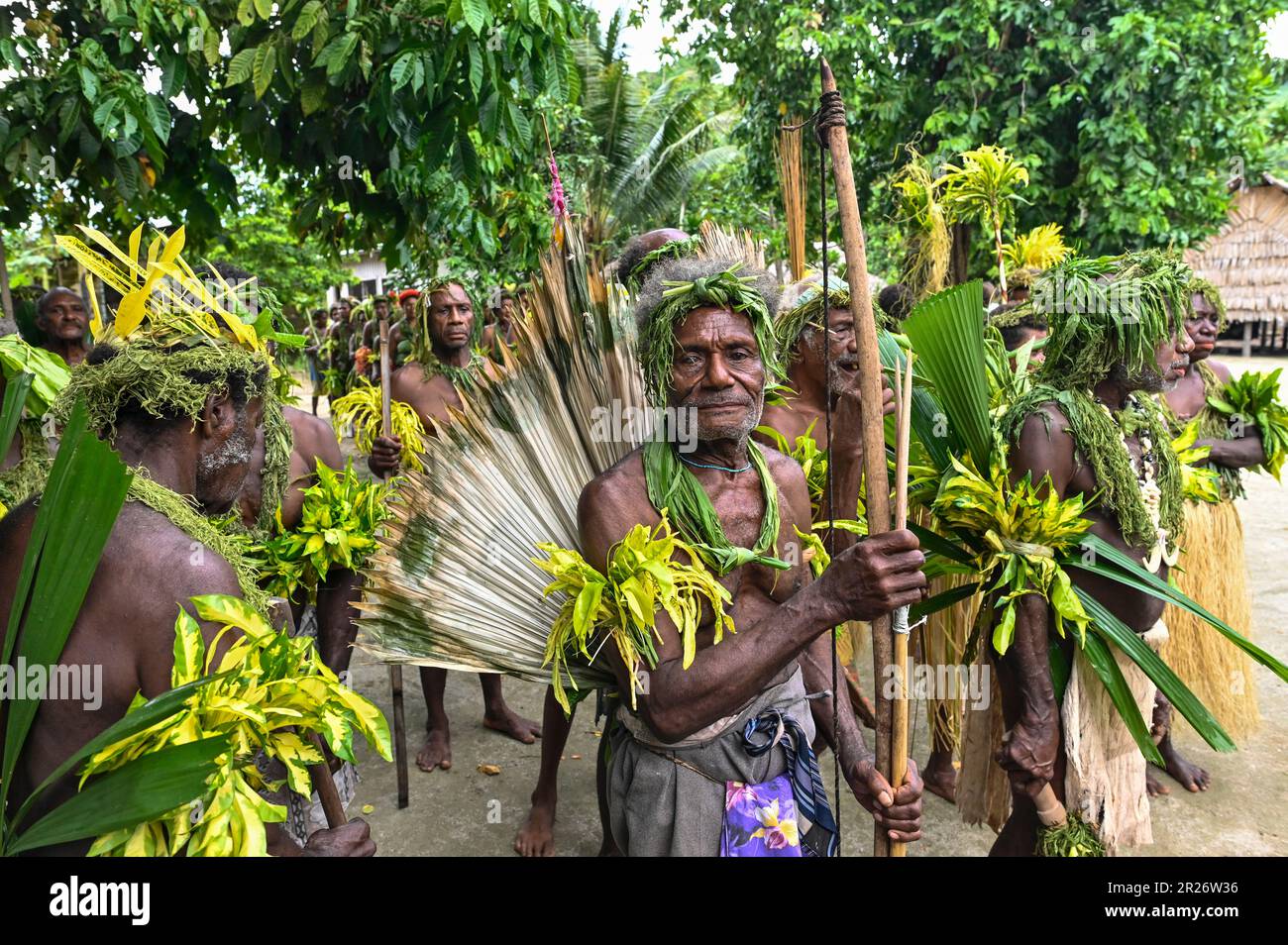 The traditional dances of the indigenous people on Utupua Island in the ...