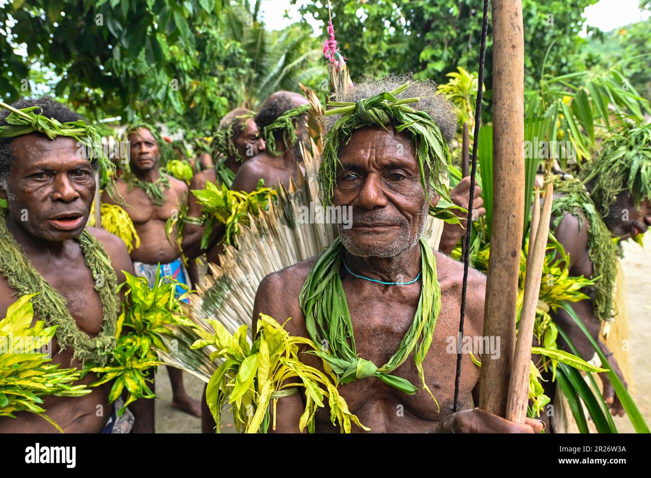 The traditional dances of the indigenous people on Utupua Island in the ...