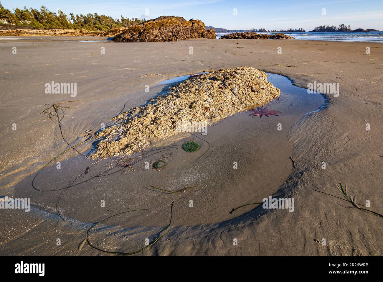 A beach on the shores of the Pacific Ocean, with stone boulders coming ...