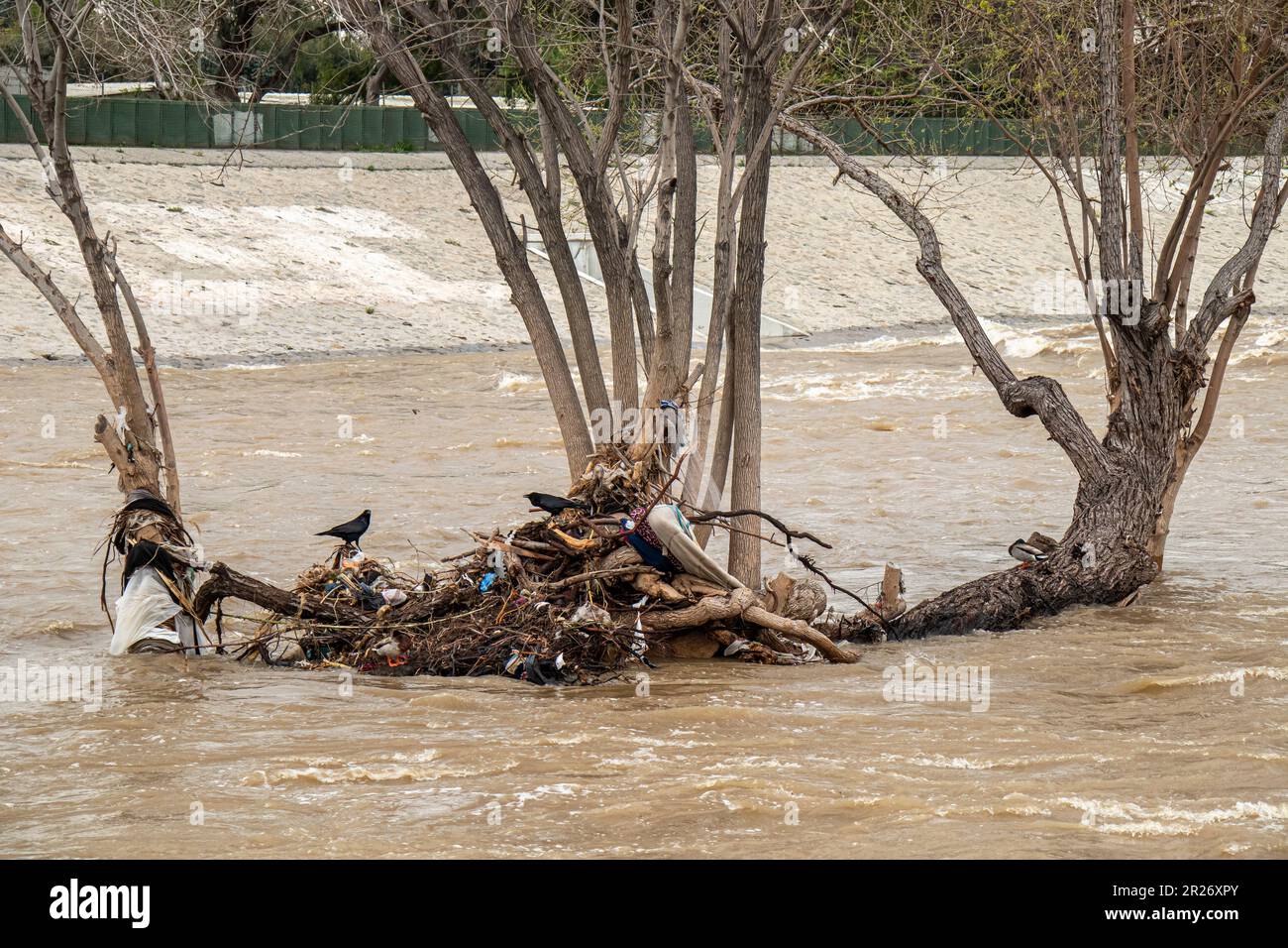 Los Angeles River after a major storm that washed away large areas of ...