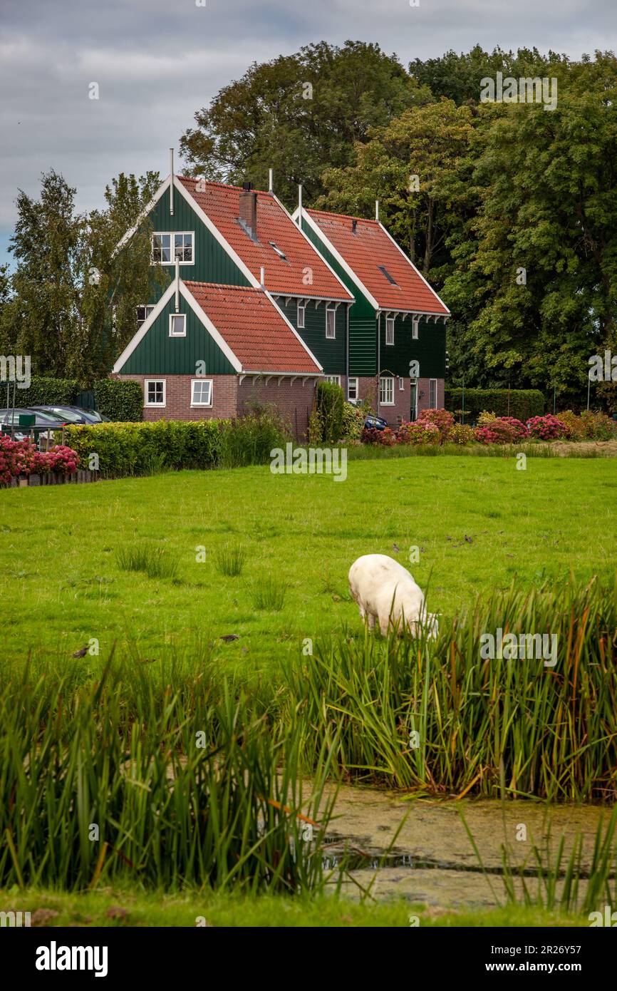 Traditional house in Netherland, Holland Stock Photo - Alamy
