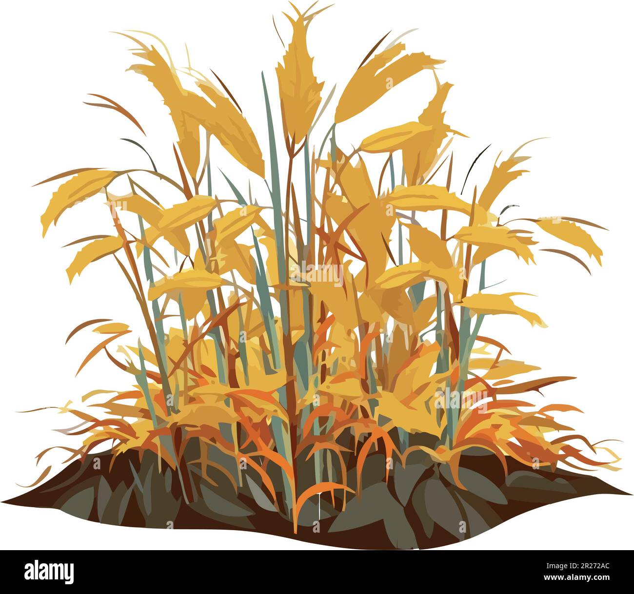 Dry agriculture land on summer Stock Vector Images - Alamy