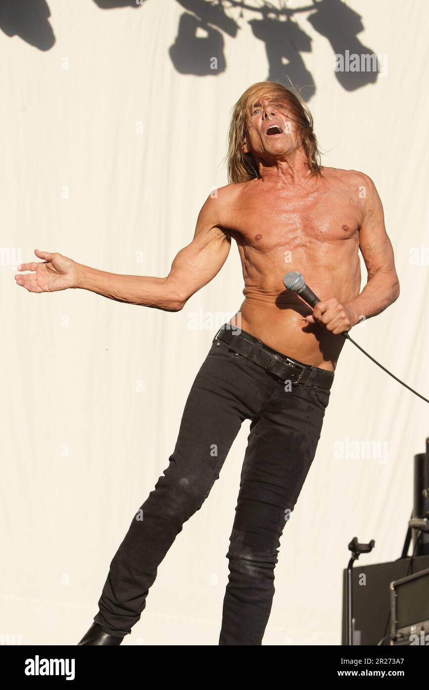 Iggy Pop performing live in concert as part of the annual 'Big Day Out ...