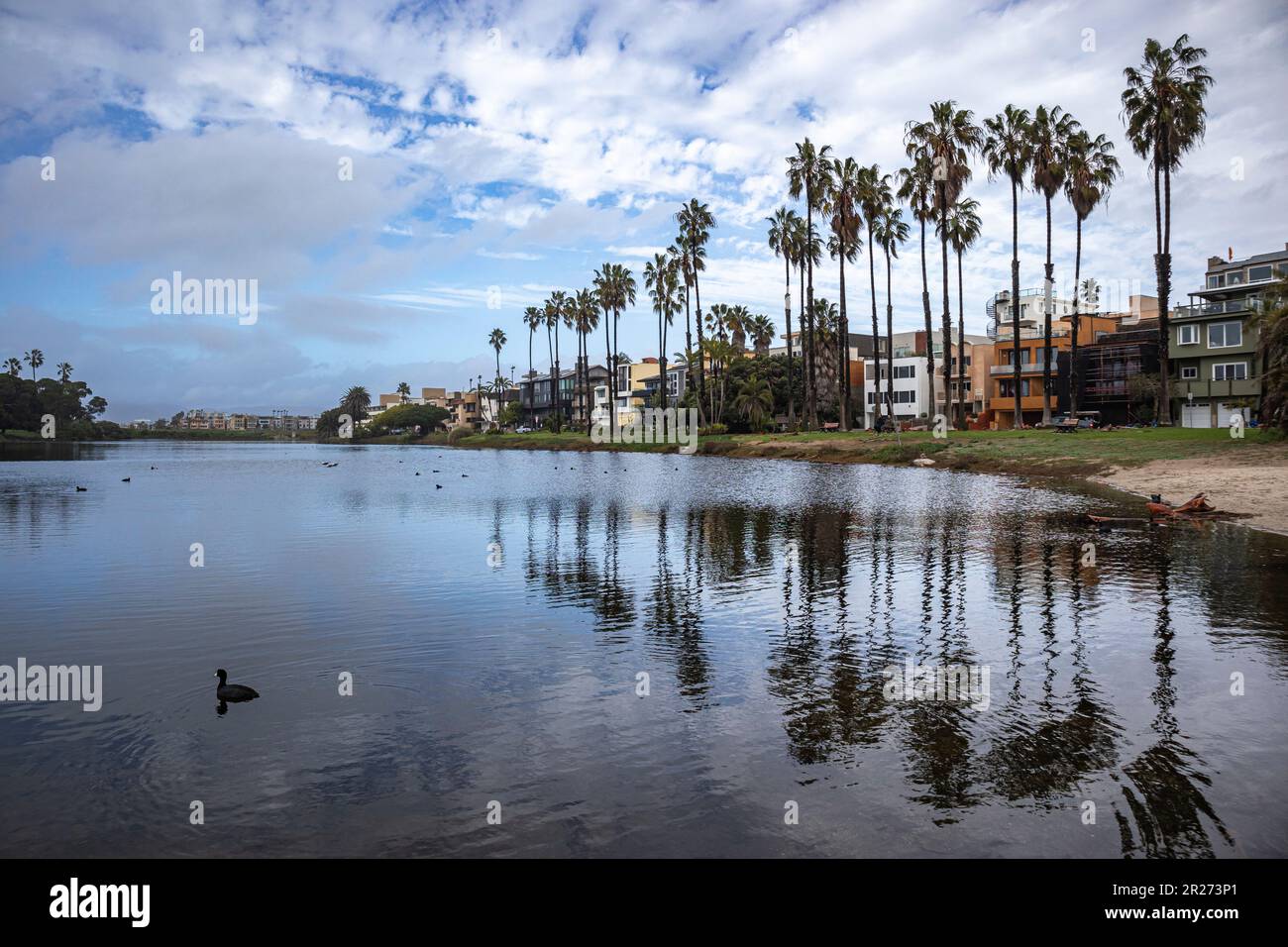 Del Rey Lagoon in Playa Del Rey is at very high levels after several ...