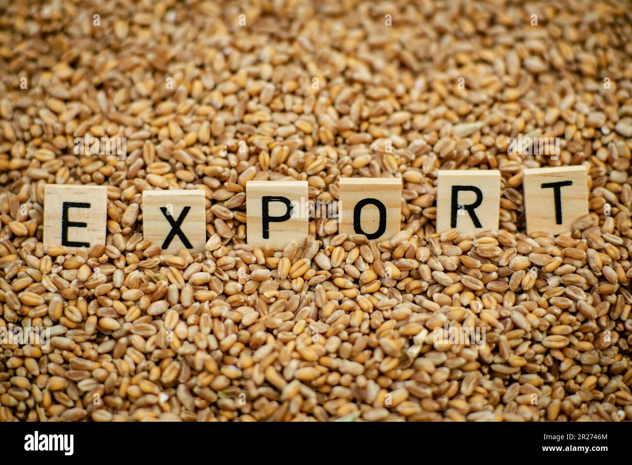 Export grain, wheat concept. Word Export on grain background Stock ...
