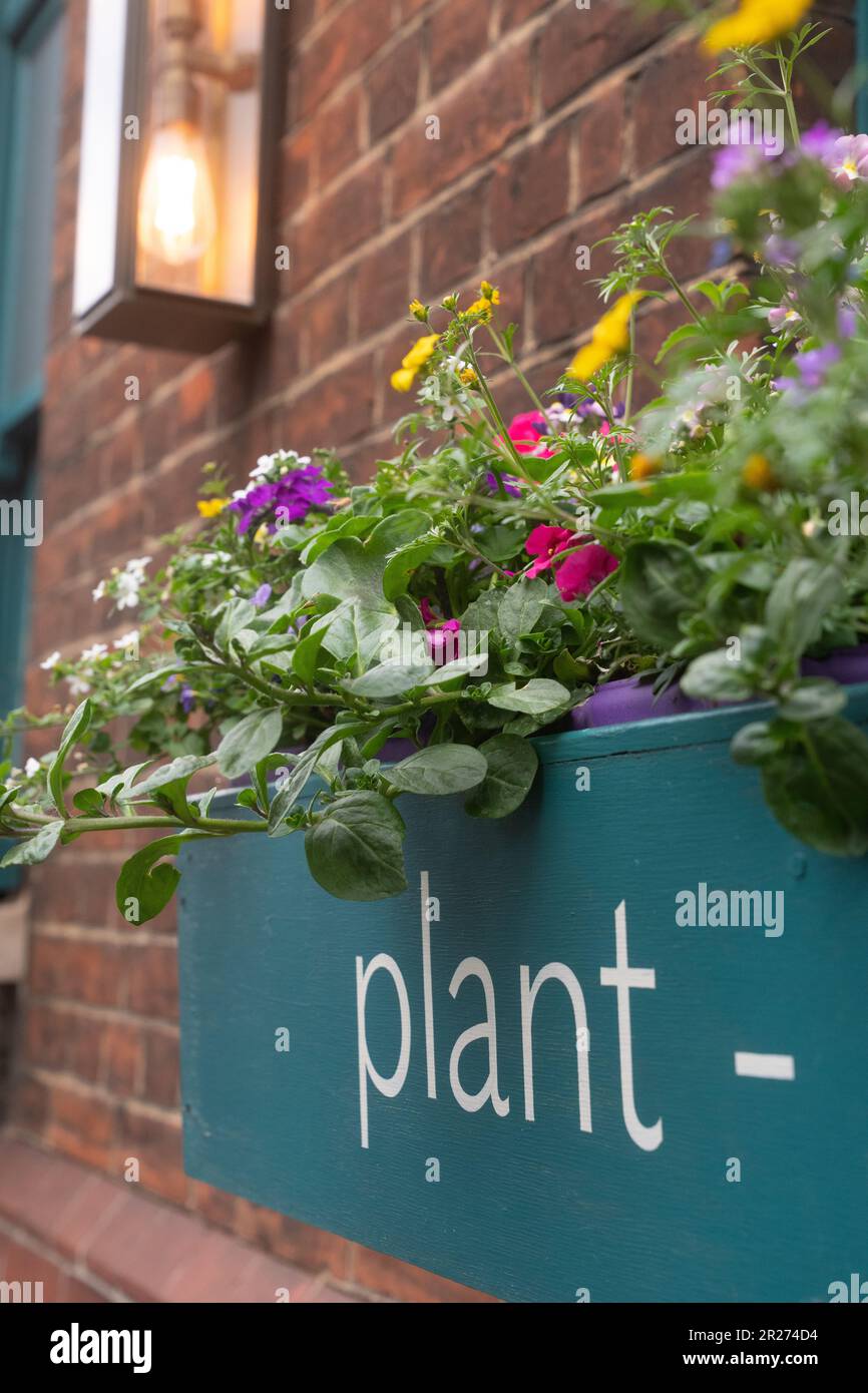 Mallow restaurant hi-res stock photography and images - Alamy