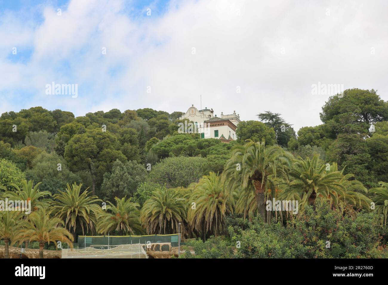 Trees wallpapers hi-res stock photography and images - Alamy