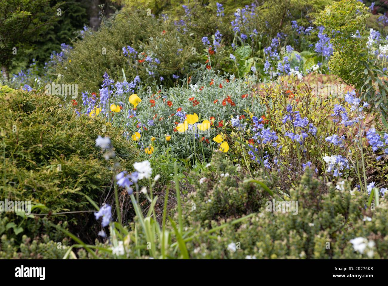 Blend of flowers hi-res stock photography and images - Alamy