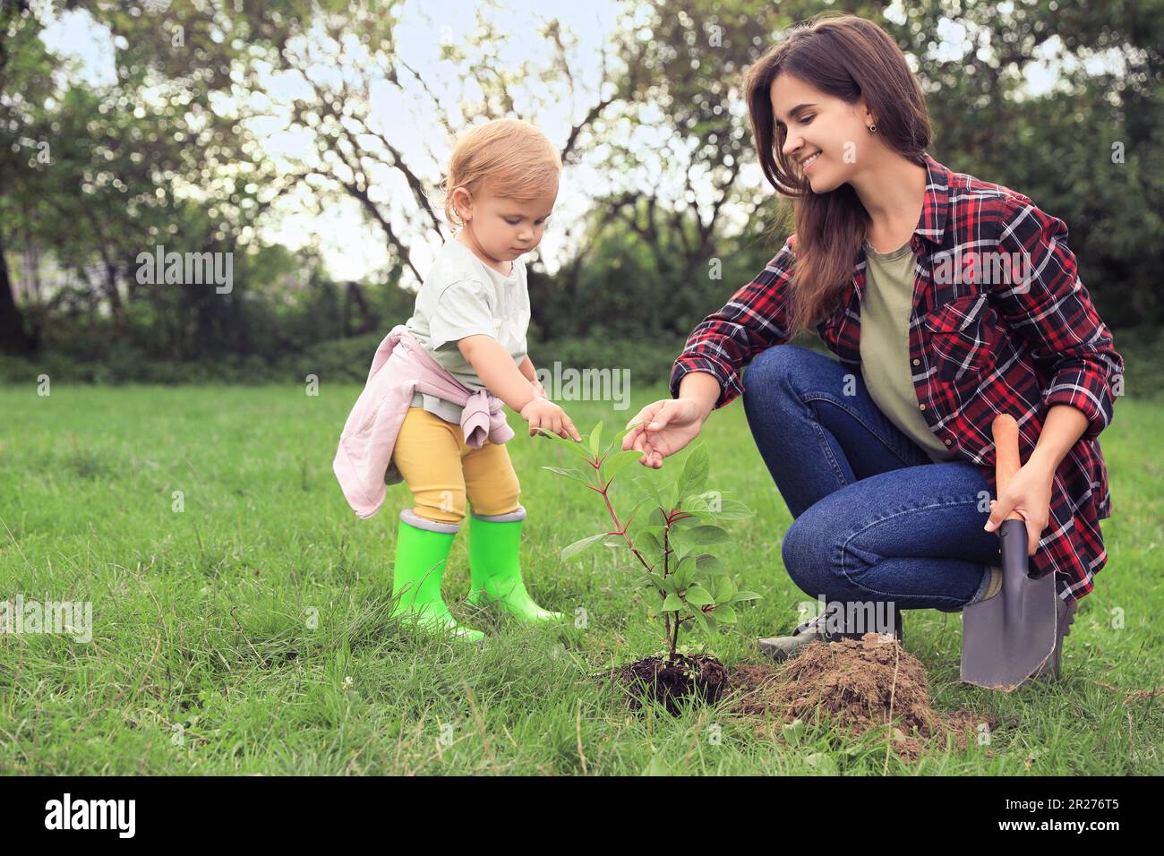 Mother and her baby daughter planting tree together in garden Stock ...