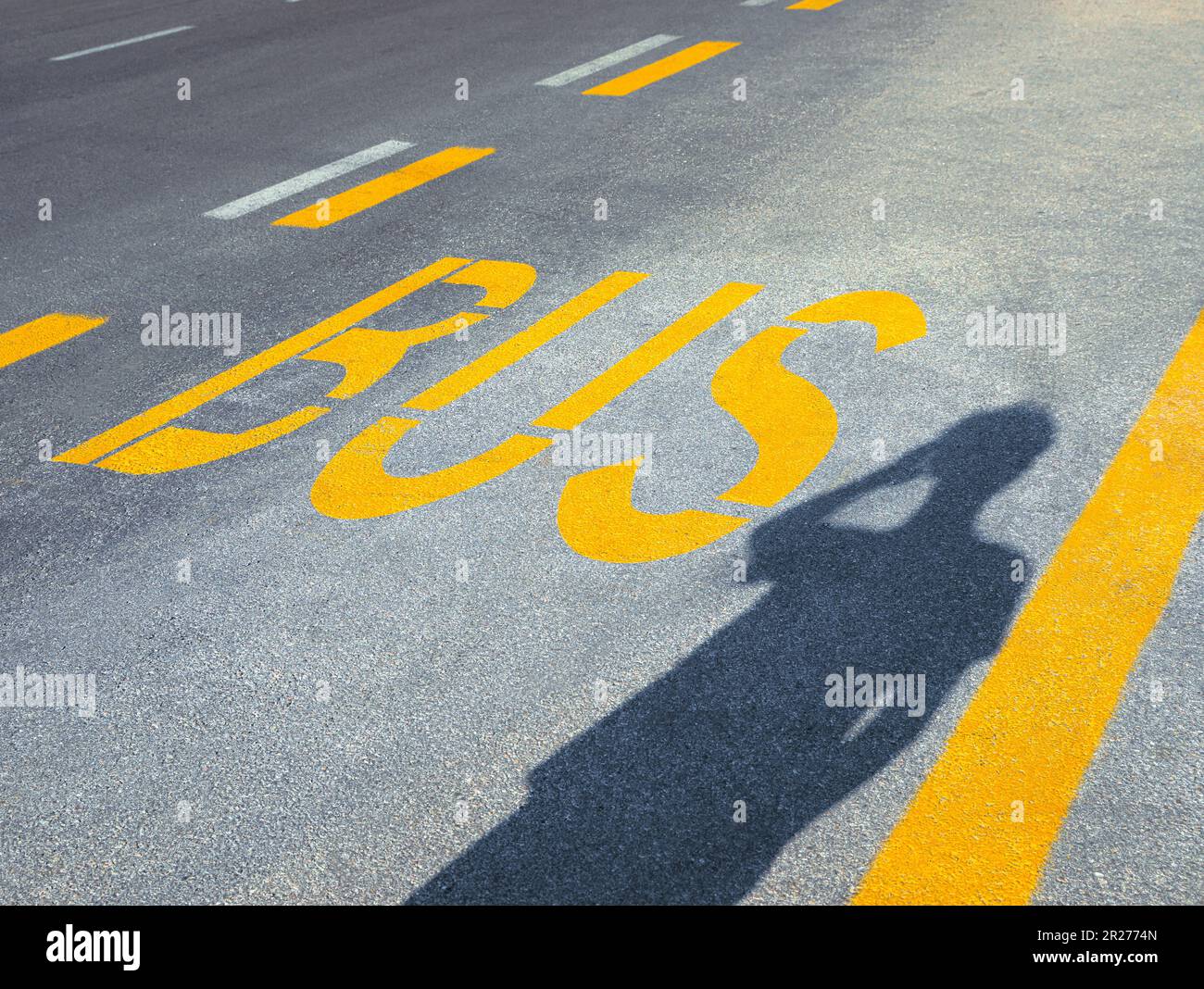 Bus stop pad and man's shadow on asphalt road Stock Photo - Alamy