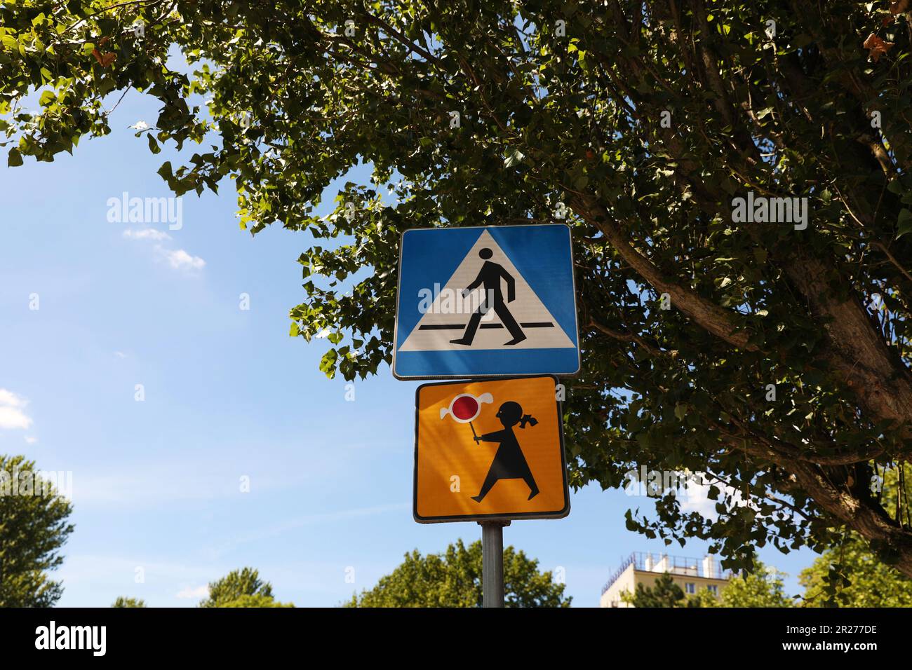 Different road signs near tree outdoors on sunny day Stock Photo - Alamy