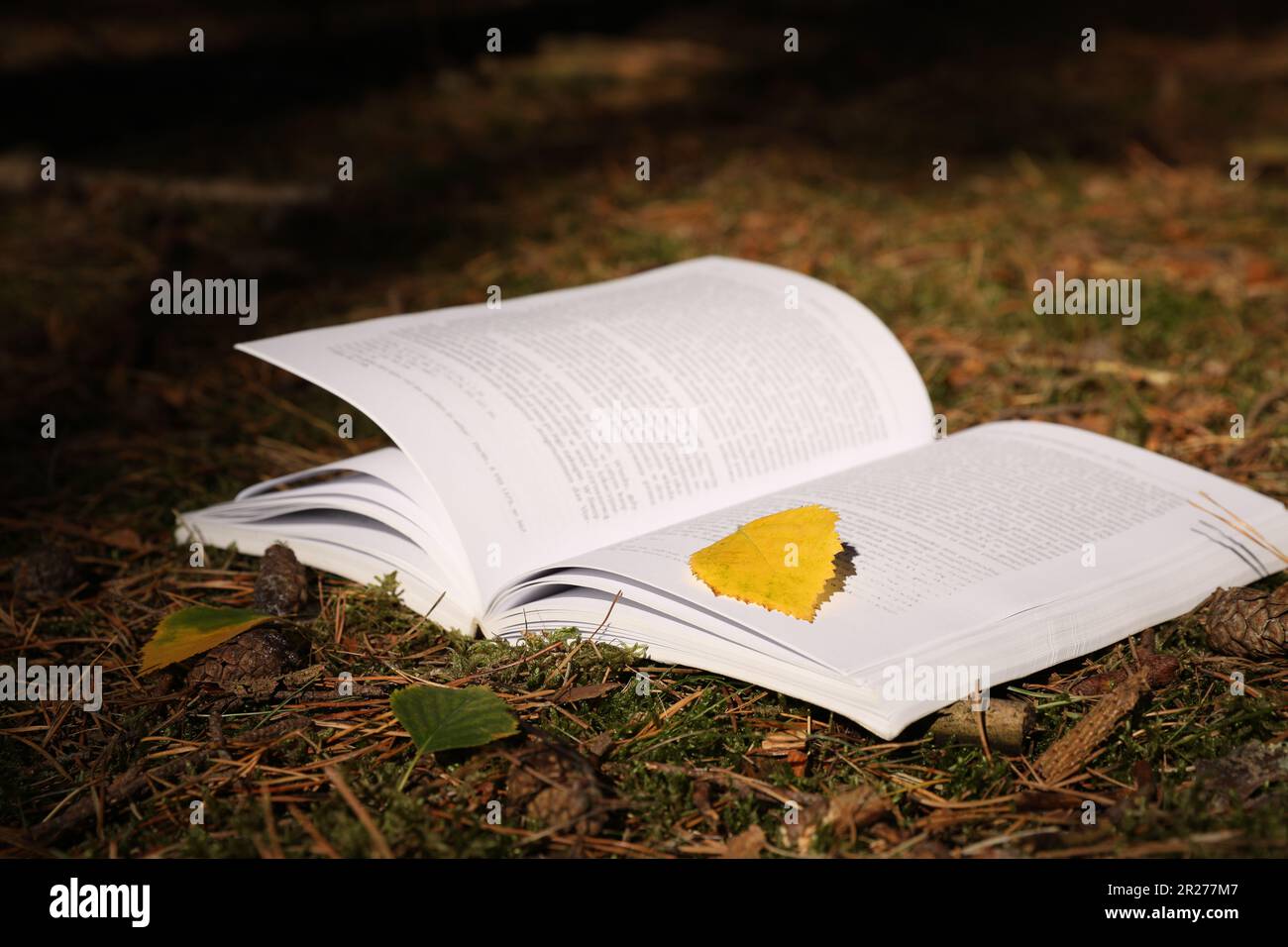 Open book and yellow leaf on grass outdoors Stock Photo - Alamy