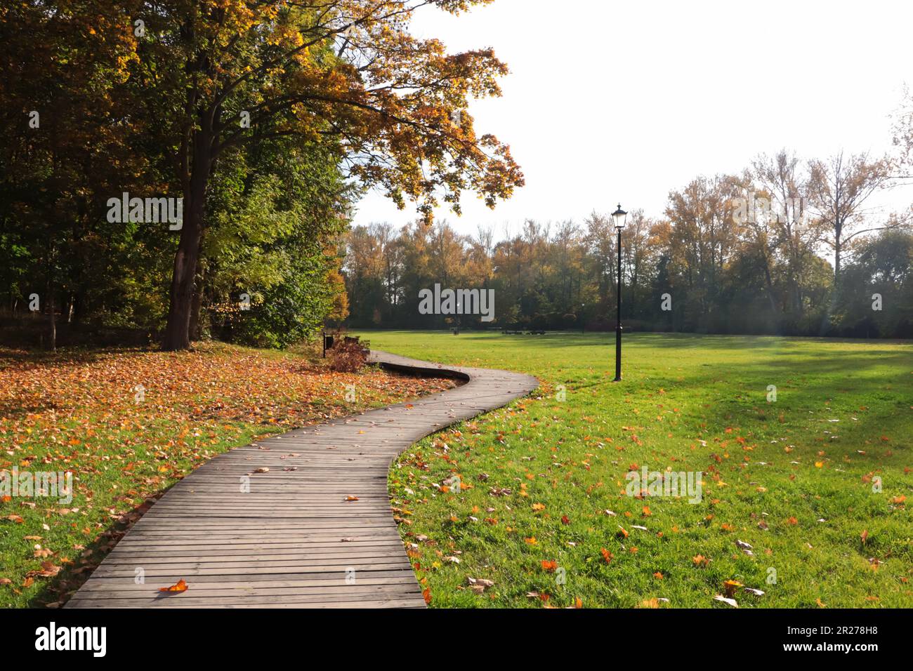Picturesque view of park with beautiful trees and pathway on sunny day ...