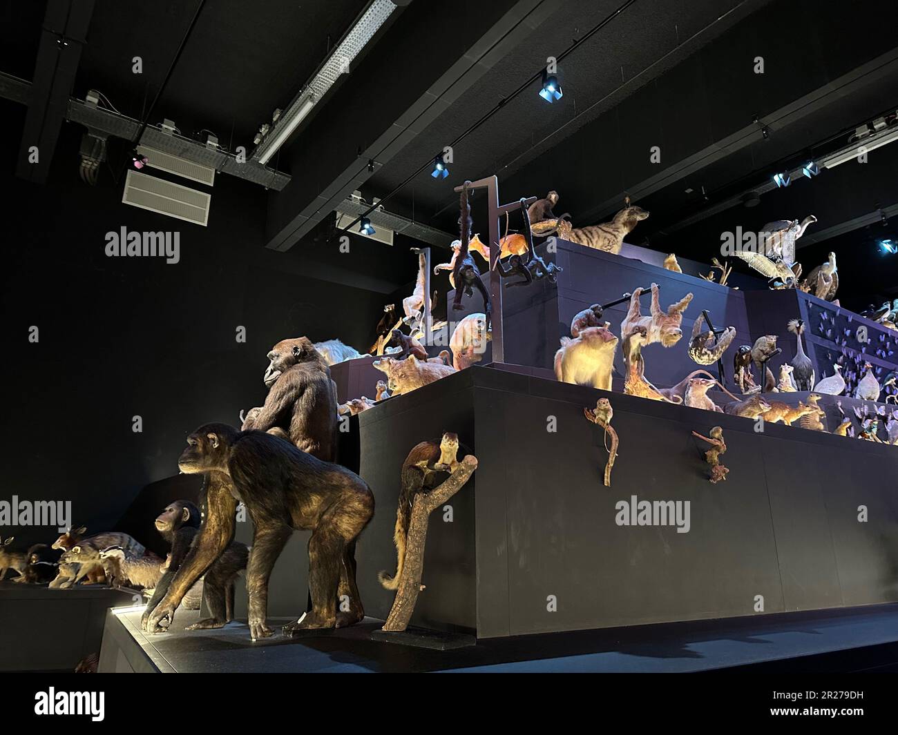 Leiden, Netherlands - November 19, 2022: Museum exhibition with ...