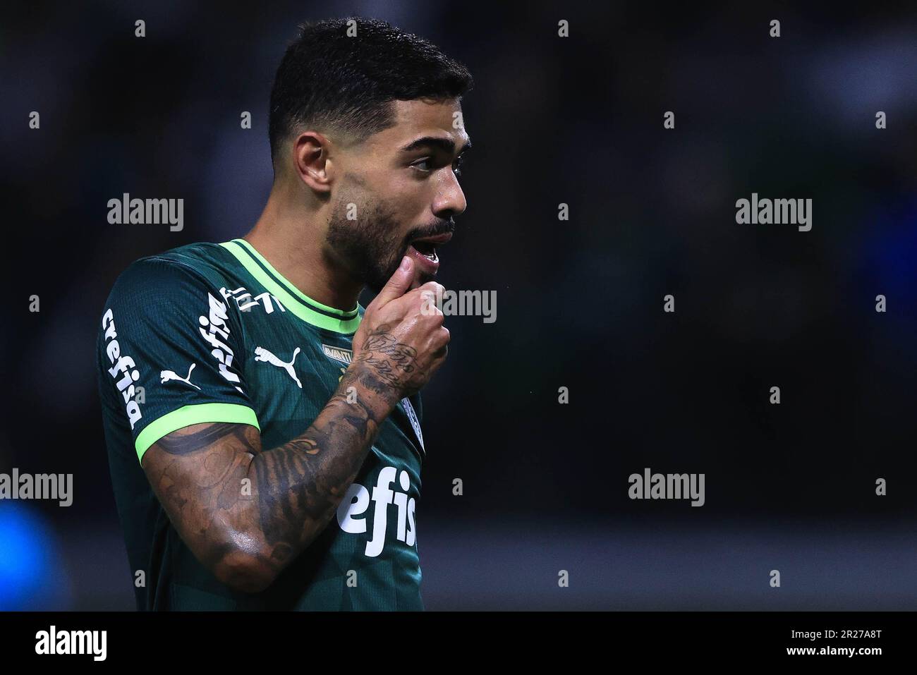 Bruno tabata palmeiras hi-res stock photography and images - Alamy