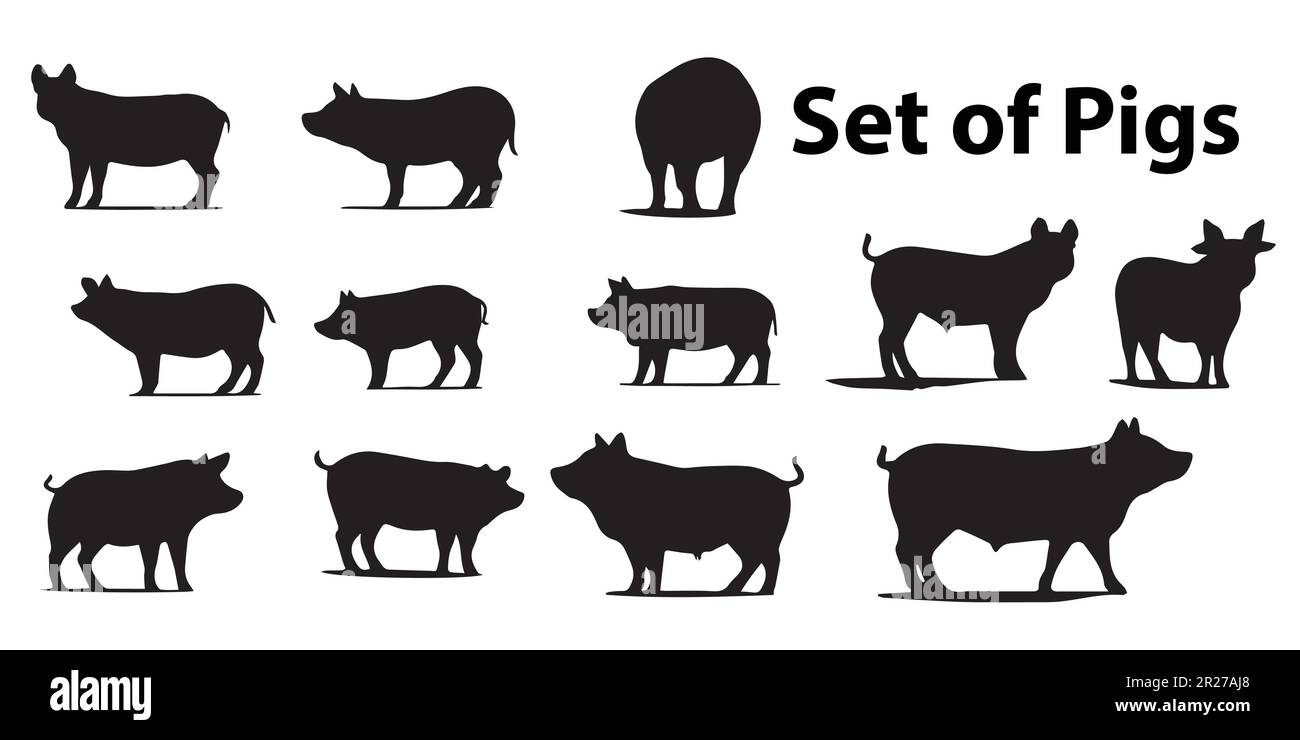Horse pigs Stock Vector Images - Alamy