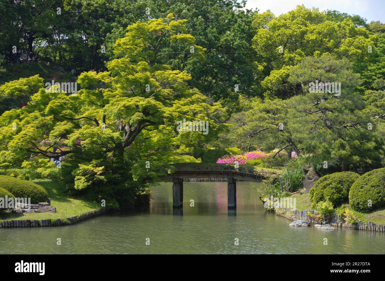 The fresh green scenery of a windy spring day at nationally designated ...