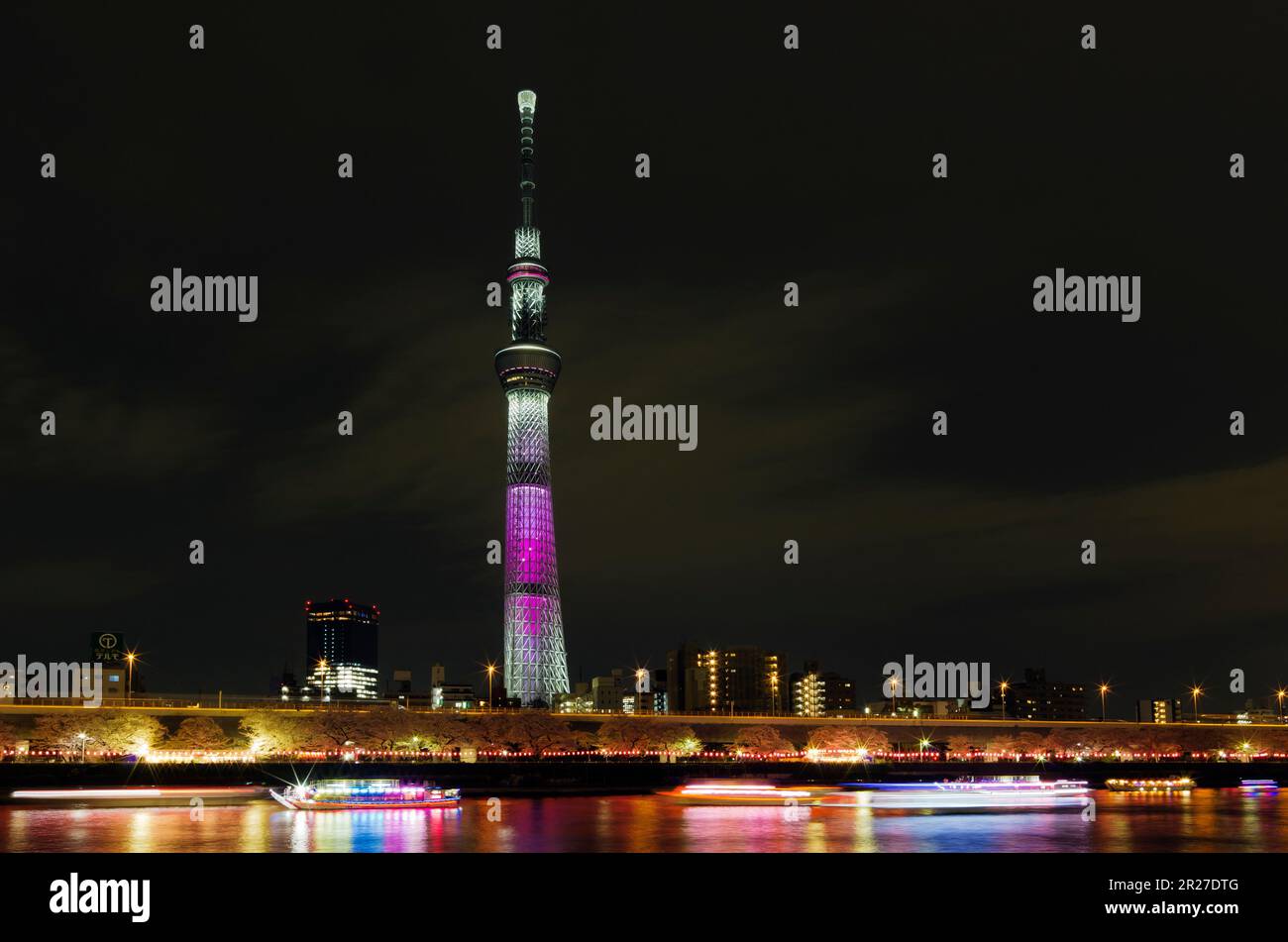 Landscape of cherry blossoms of Sumida park at night, Tokyo Sky tree ...