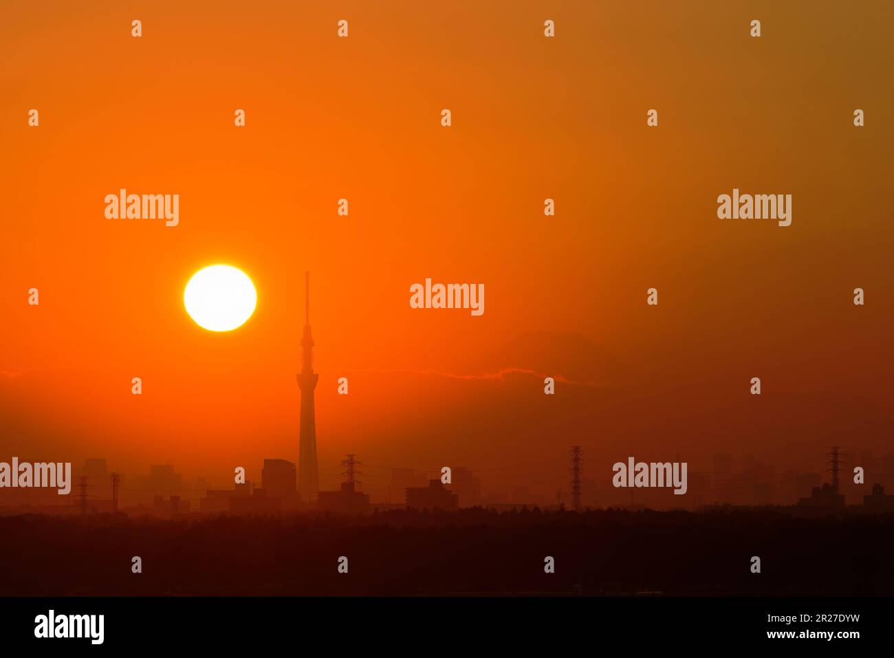Tokyoskytree tower and the sunset shades of Mt. Fuji seen from ...