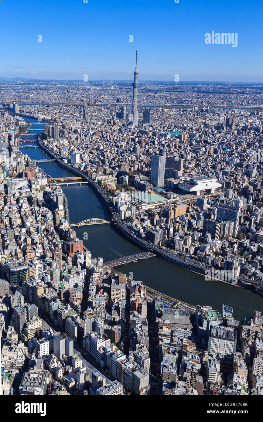 Bridges in various colors across Sumida River and Sky Tree seen from the sky above Chuo Ward ...