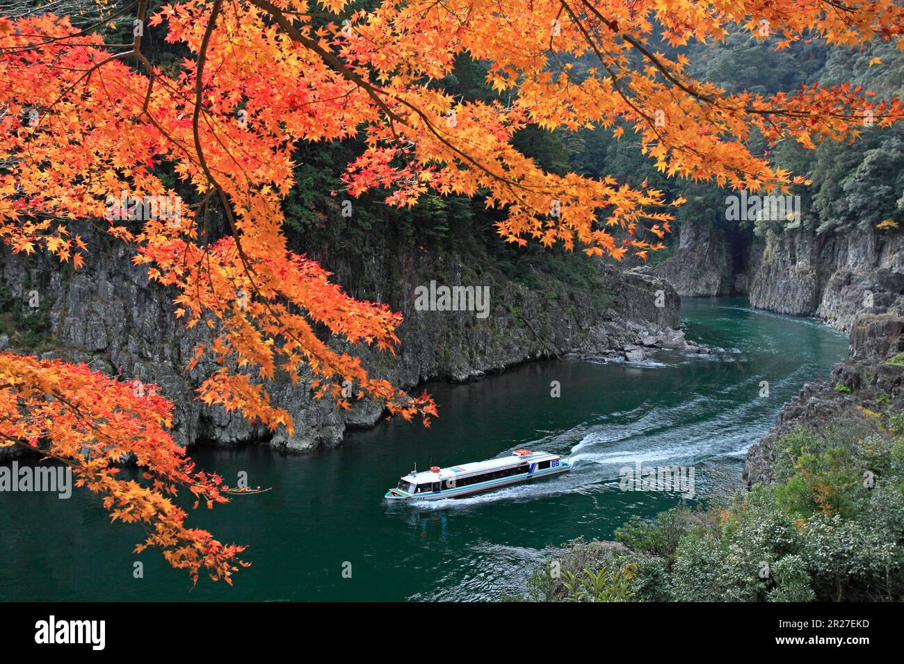 Autumn leaves of Torokai Stock Photo - Alamy