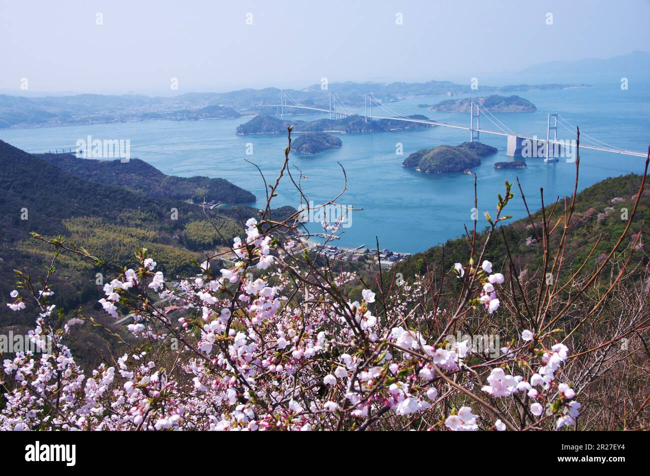 Kurushima-Kaikyo Bridge and cherry blossoms Stock Photo - Alamy
