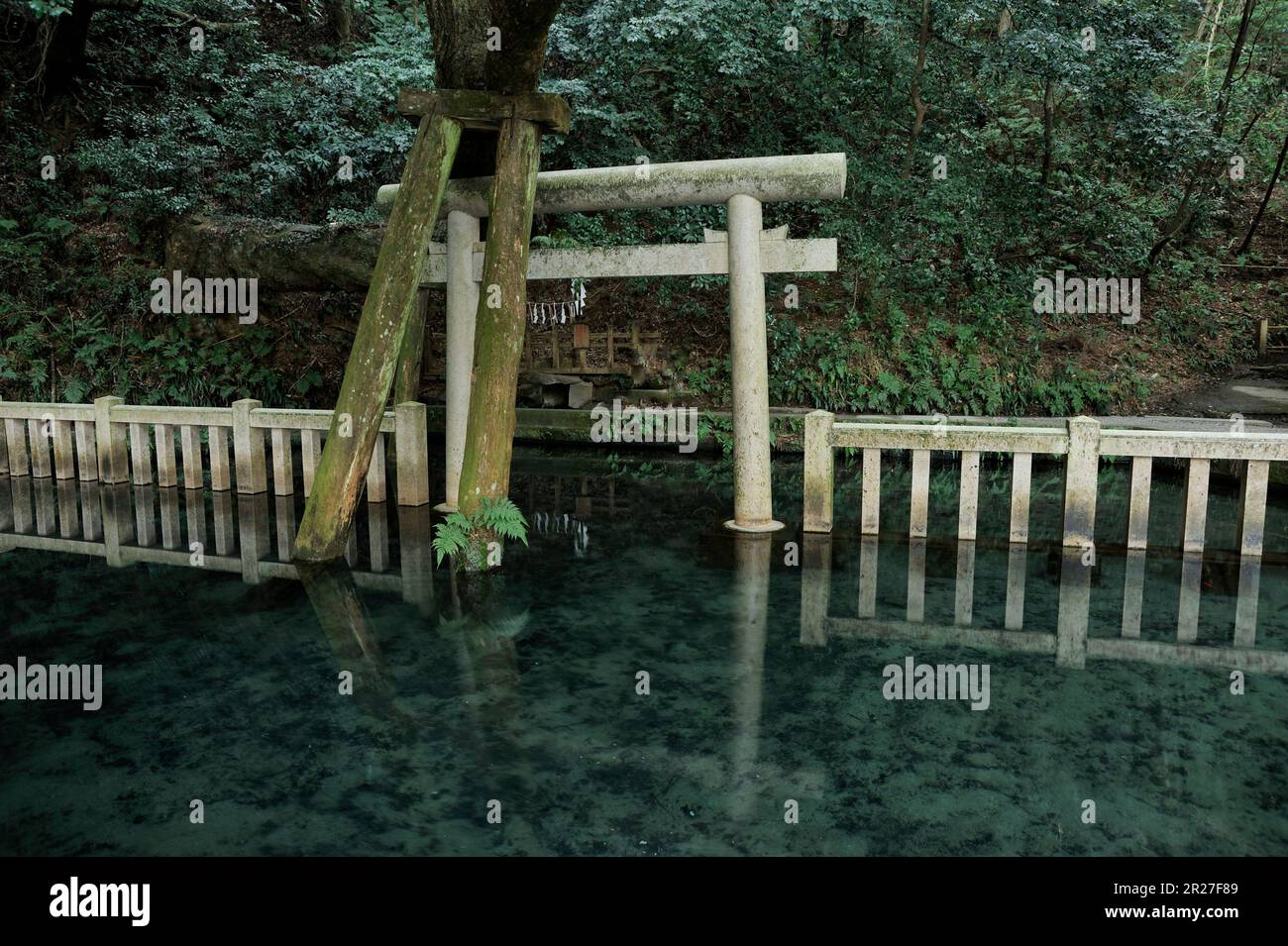 Mitaraiike Pond of Kashima Jingu Shrine Stock Photo - Alamy