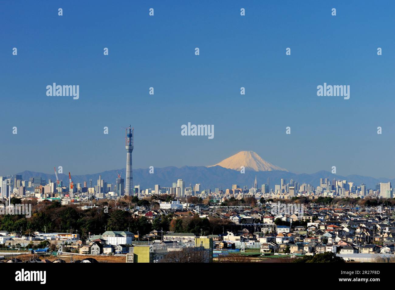 Tokyo Sky Tree and Mount Fuji Stock Photo - Alamy