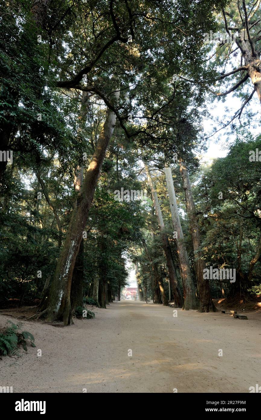 Approach to Kashima Jingu Shrine Stock Photo - Alamy
