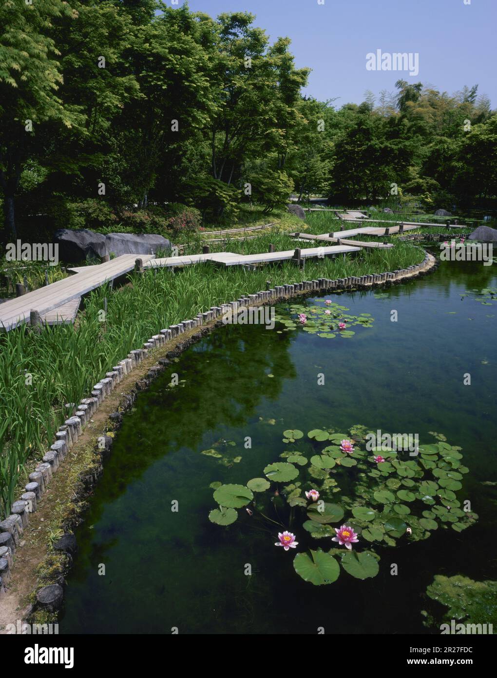 Showa memorial park tachikawa hi-res stock photography and images - Alamy