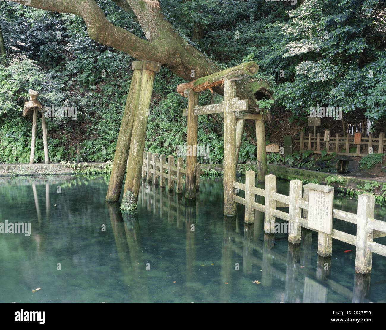 Mitaraiike Pond of Kashima Jingu Shrine Stock Photo - Alamy