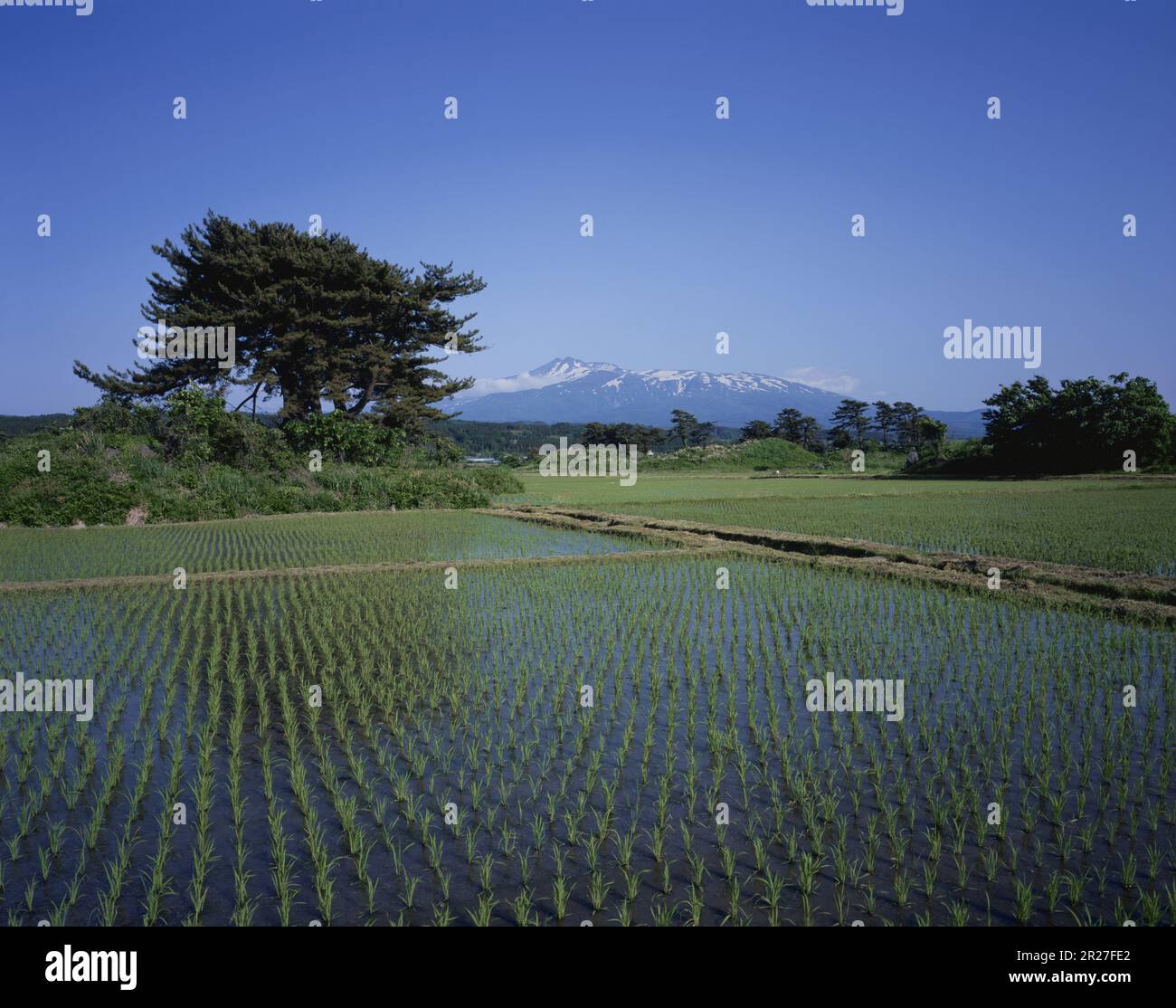 Mount Chokai and Kujuku Islands Stock Photo - Alamy