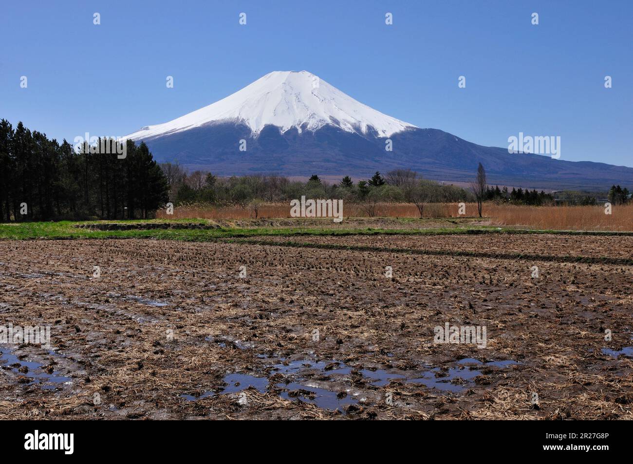 Japan mount fuji oshino hi-res stock photography and images - Alamy