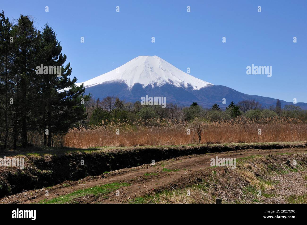 Mount fuji japan spring hi-res stock photography and images - Alamy