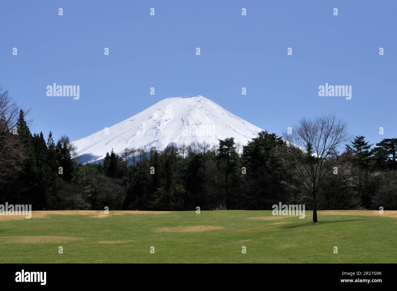 Mount fuji japan spring hi-res stock photography and images - Alamy
