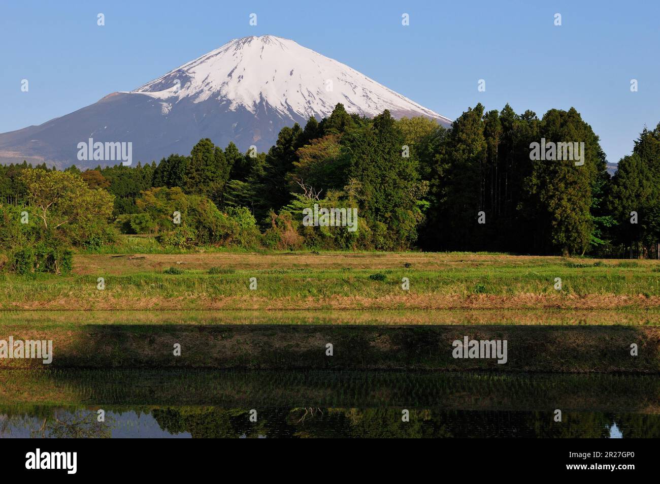 Mount may hi-res stock photography and images - Alamy