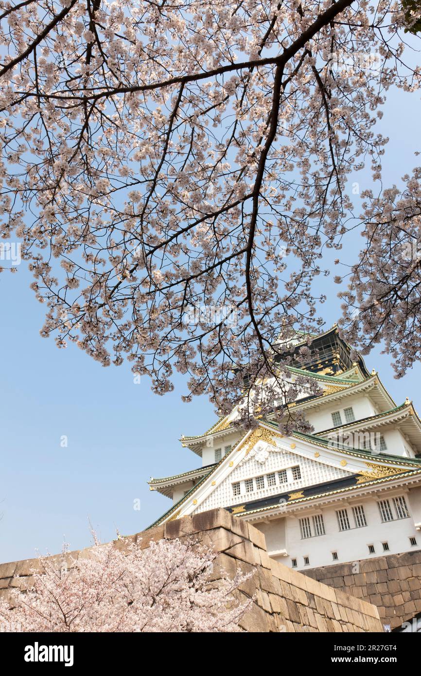 Osaka castle and cherry blossom trees Stock Photo - Alamy