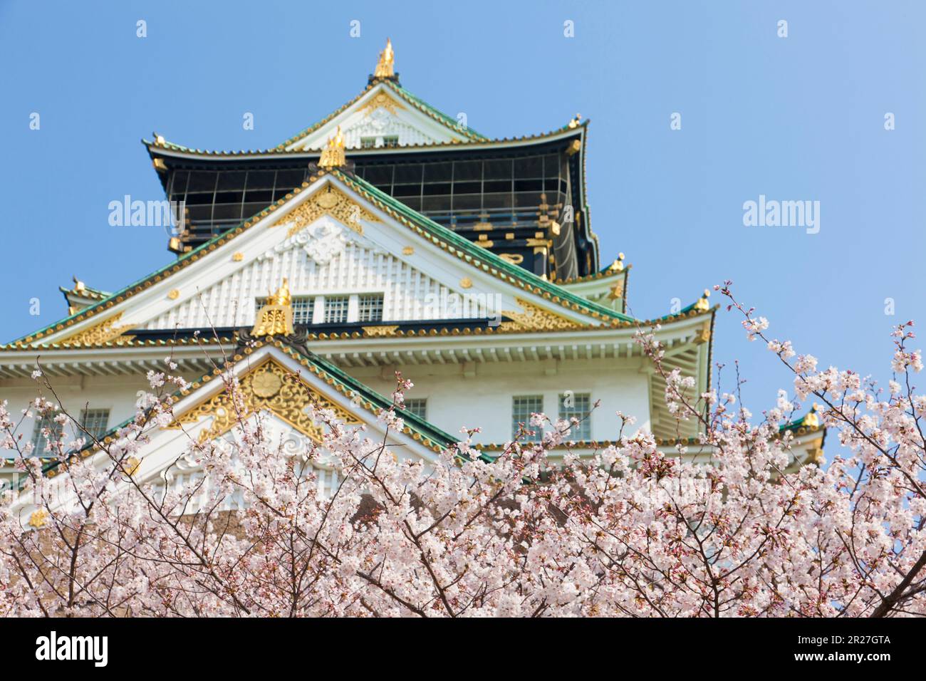 Osaka castle and cherry blossom trees Stock Photo - Alamy