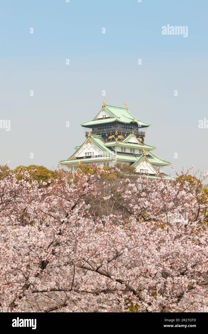 Osaka castle and cherry blossom trees Stock Photo - Alamy