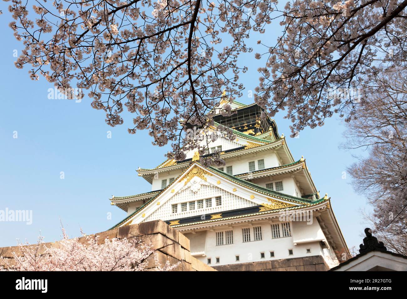 Osaka castle and cherry blossom trees Stock Photo - Alamy