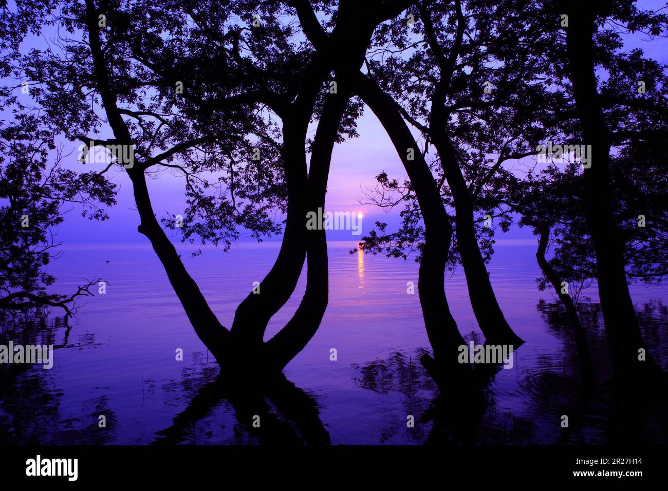 Morning landscape of Lake Biwa Stock Photo - Alamy