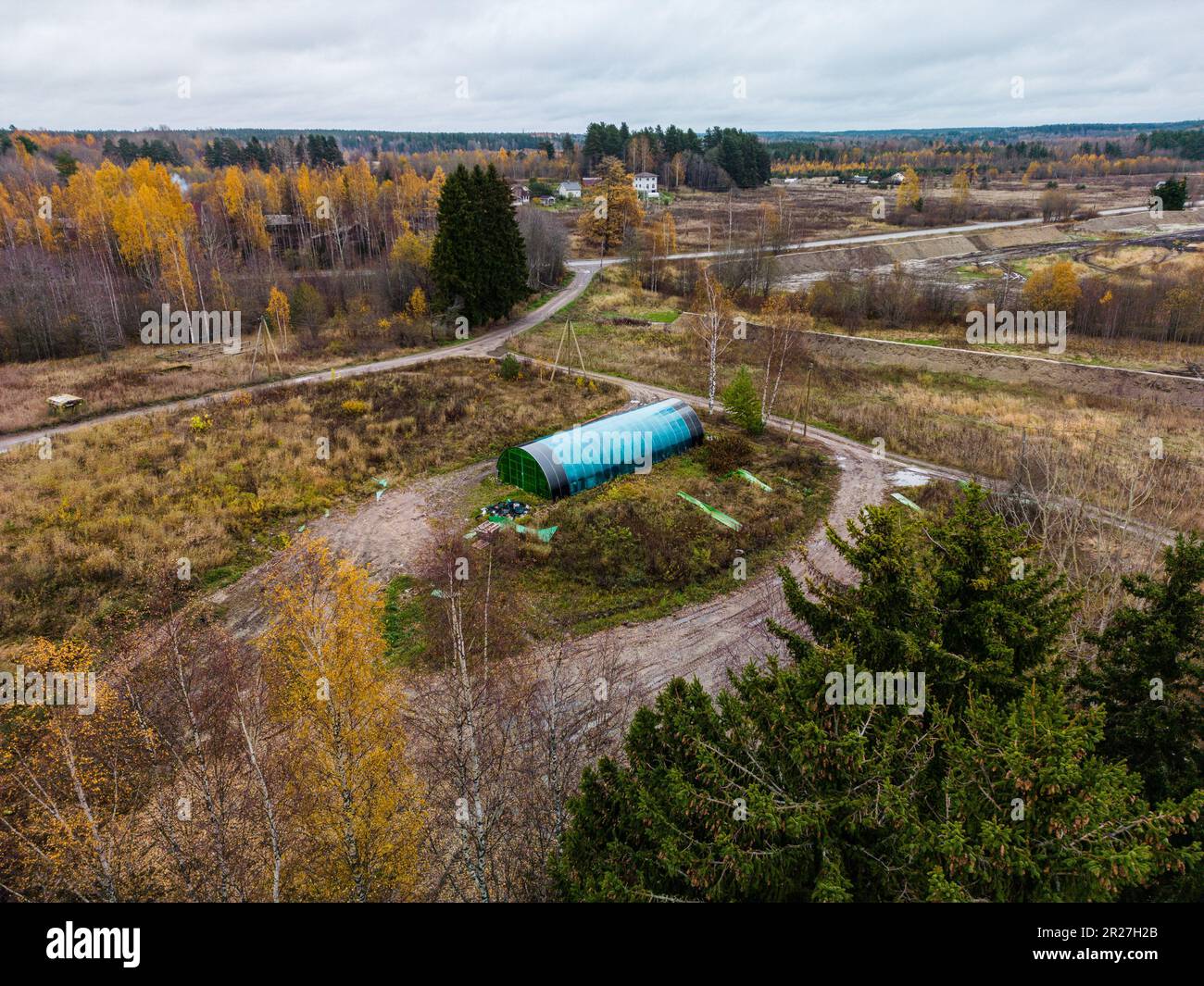 Small cozy blue house in the forest under tree Stock Photo - Alamy