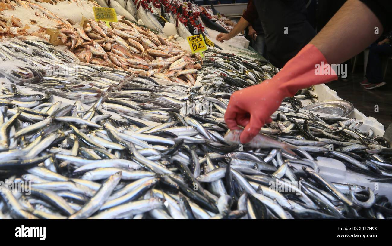 Raw fishes on the fish counter at traditional Kadikoy fish market in ...