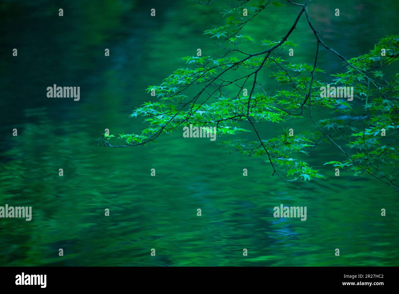 Lake surface of Kinrinko lake Stock Photo - Alamy