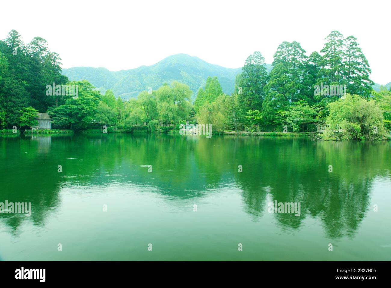 Kinrin hi-res stock photography and images - Alamy