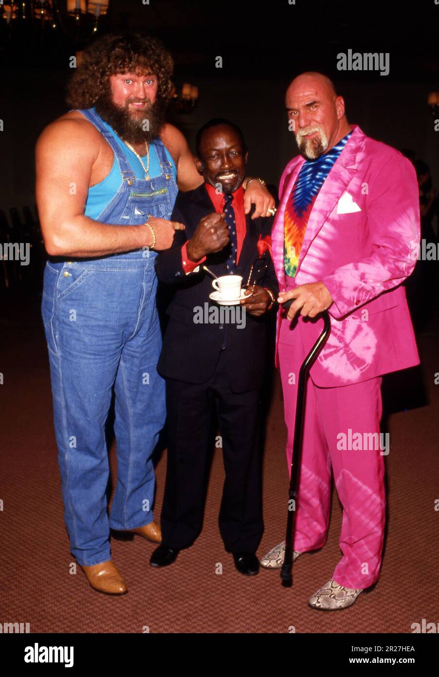**FILE PHOTO** Superstar Billy Graham Has Passed Away. Hillbilly Jim ...